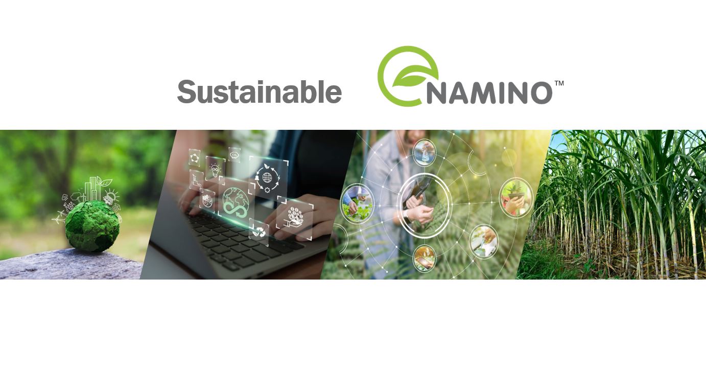 Trend | DAESANG INGREDIENT